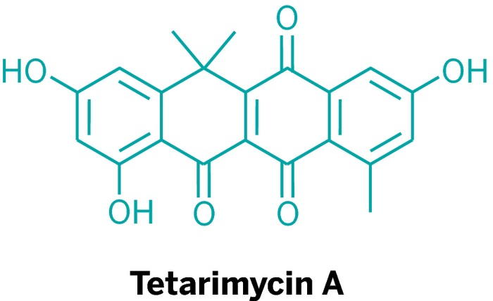 Spilling-Bacterias-Molecular-Secrets