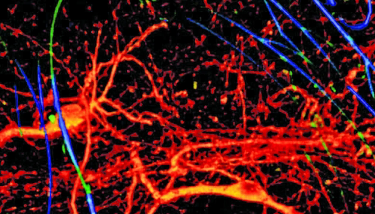 Integrating Man And Machine