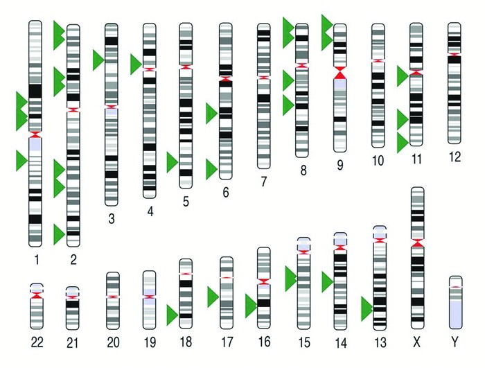 Whole-Genome-Sequencing-Single-Cells