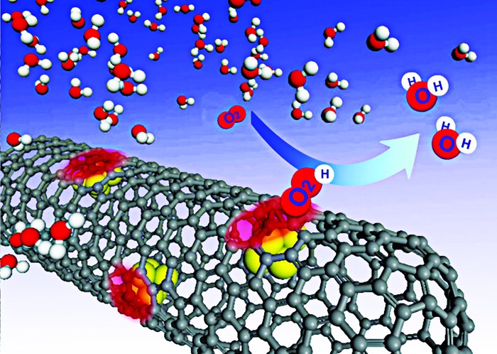 Encapsulation-Protects-Iron-Catalyst
