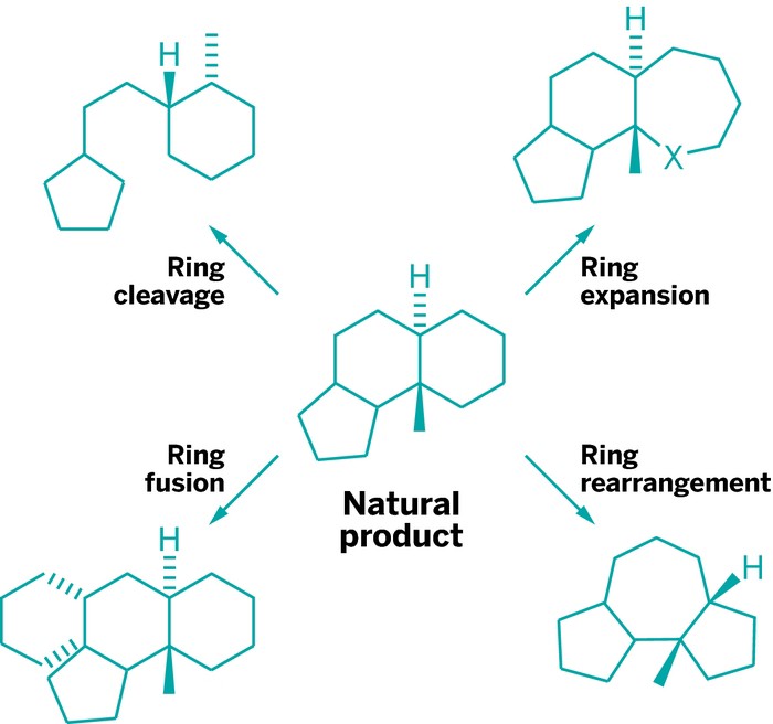 Ringing-New-Drug-Candidates