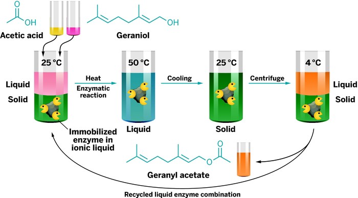 Ionic-Liquid-Serves-Natural-Flavors