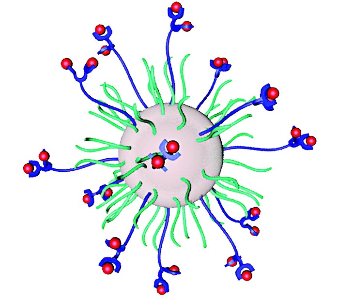 Magnetic-Nanoparticles-Banish-Bacteria-Blood