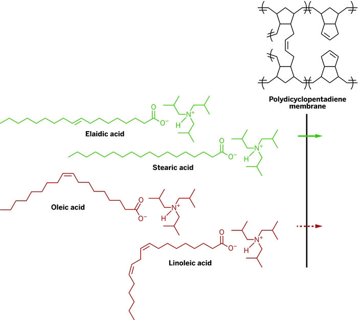 Fatty Acid Chemical Structure