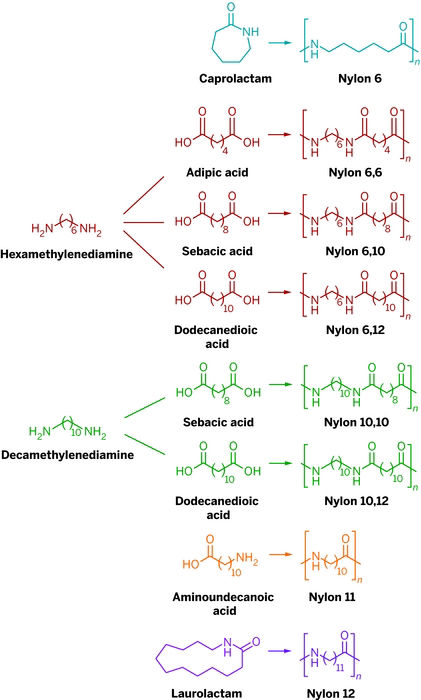 11-Aminoundecanoic Acid An Overview ScienceDirect Topics, 56% OFF