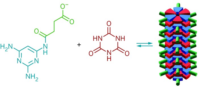 Stacked-RNA-Base-Analogs-Clue