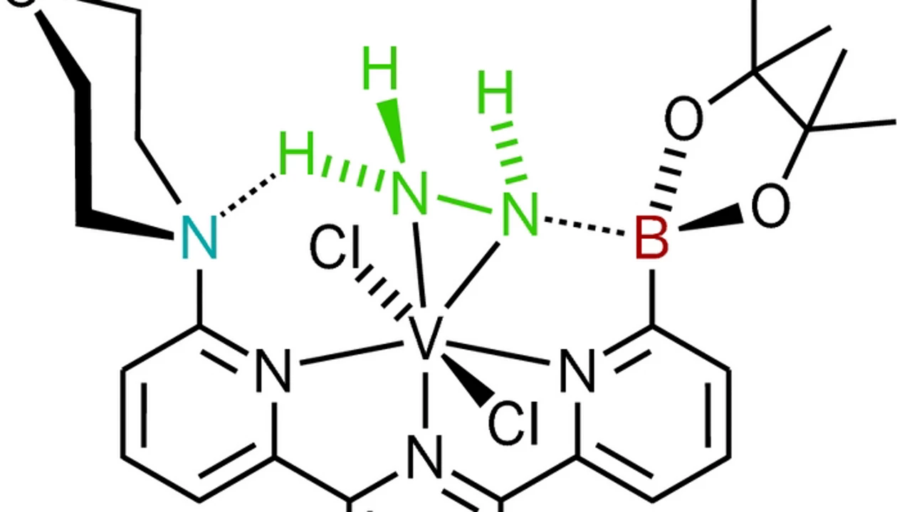 Lewis Acid-Base Pair Assists Enzyme Mimic