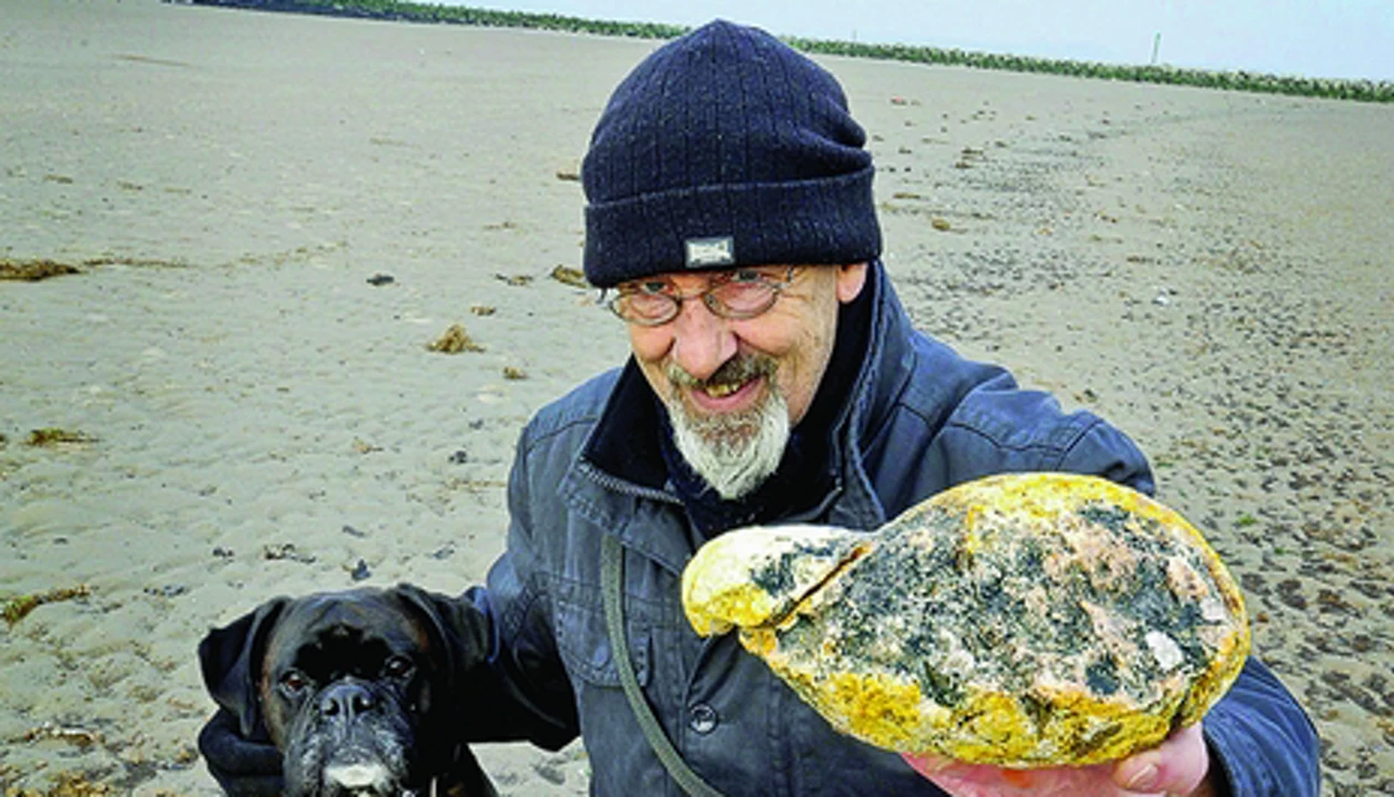 The French Stench, The English Pong, The Cheesy Norwegians