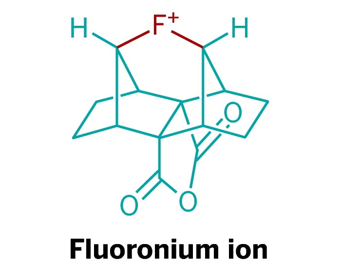 Fluorines-Positive-Side-Revealed