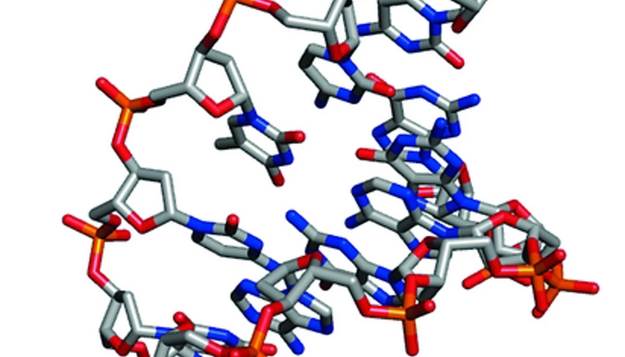 Stephen Lippard Named Priestley Medalist