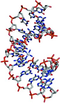 Chemistrys-Role-Cancer