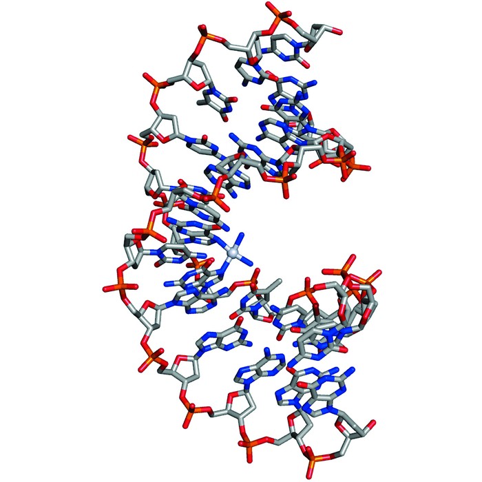 Stephen-Lippard-Named-Priestley-Medalist