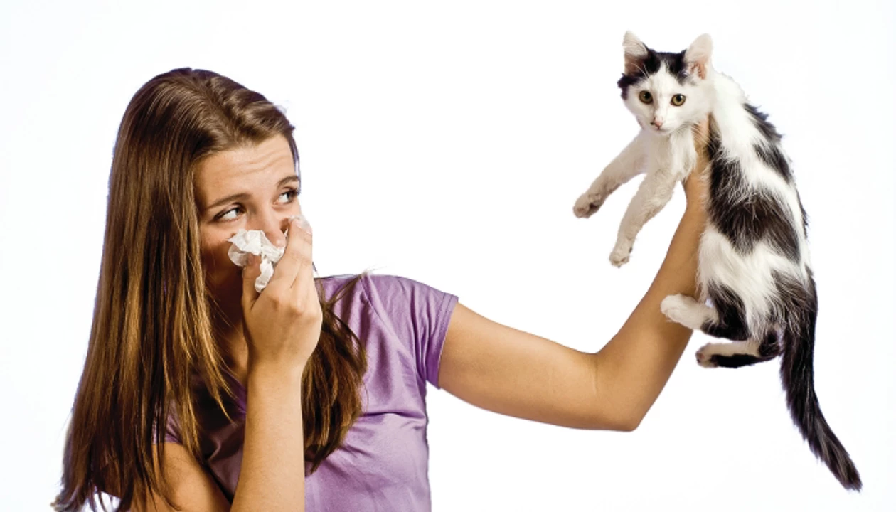 Escape Like A Zombie, Genetic Allergy Attack