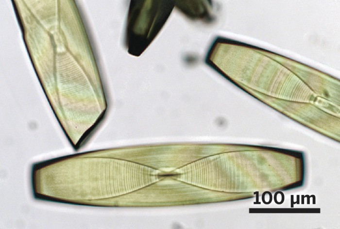 Reversible-Bonding-Improves-Crystallization