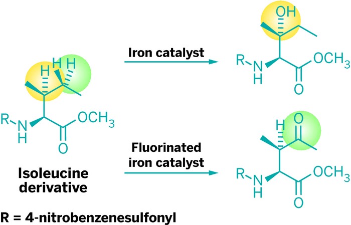 Catalyst-Calls-Shots