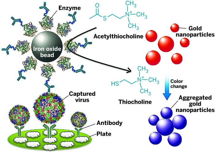 Detecting-Virus-Visually