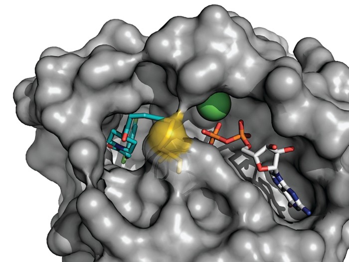 Cancer-Protein-Meets-Match