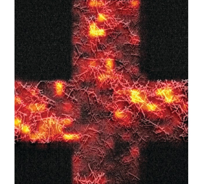 Raman-Nanoprobes-Imaging-Beacons