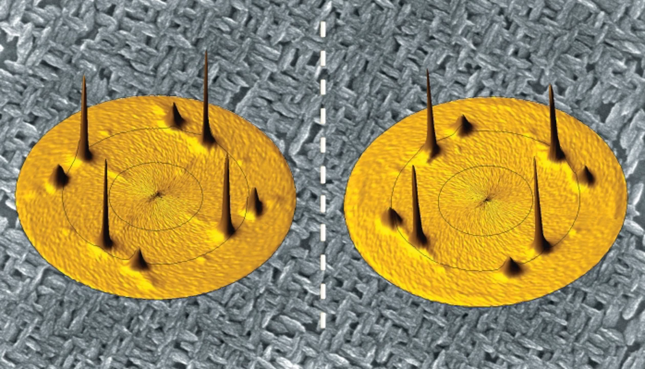 Art In Science: Surface Features Make Captivating Images