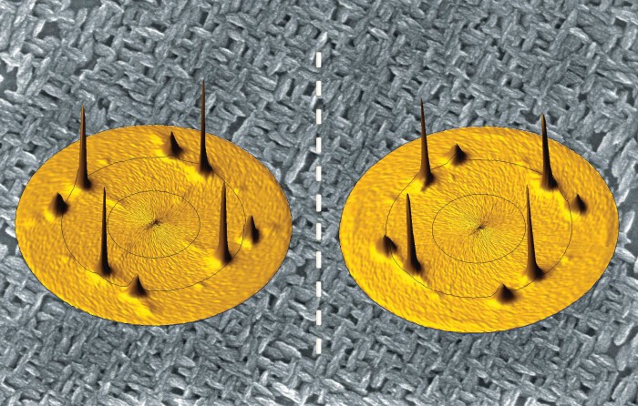 Art-Science-Surface-Features-Make