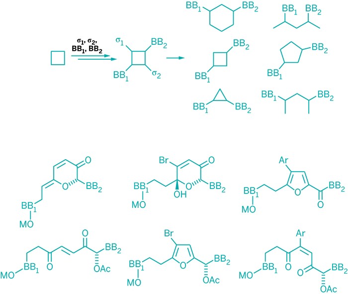 Combinatorial-Chemistry-Extending-Natures-Structure