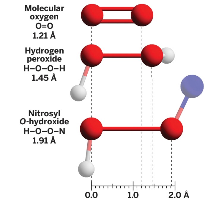 HOONs-OO-Bond-Longest-Yet