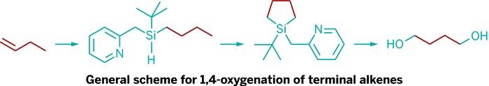 Turning-1-Alkenes-14-Diols
