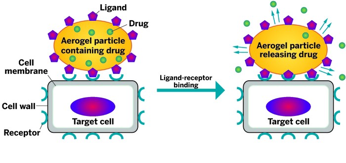 New-Vehicle-Drug-Delivery