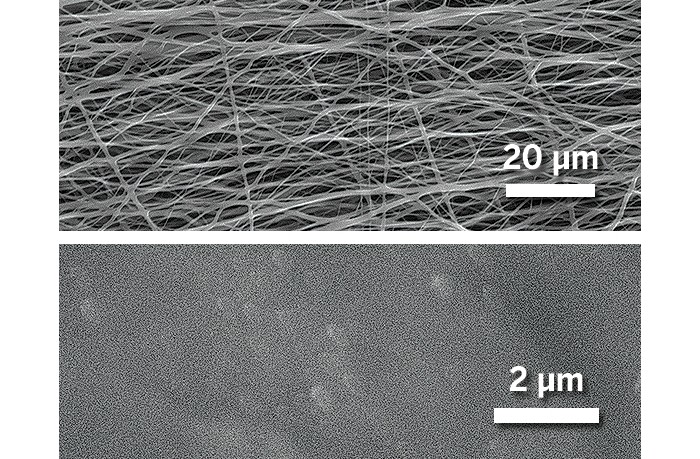 Nanofibers-Guide-Brain-Tumor-Cells