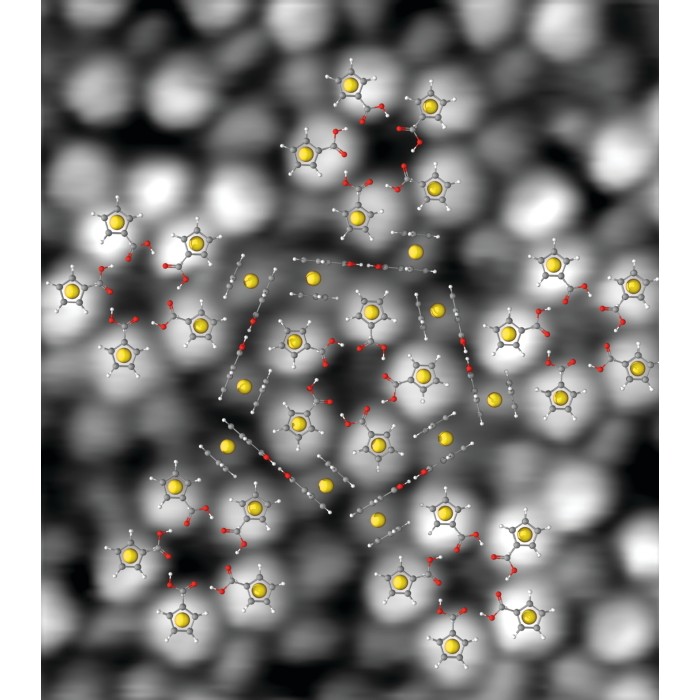 Self-Assembling-Ferrocene-Complex-Spawns