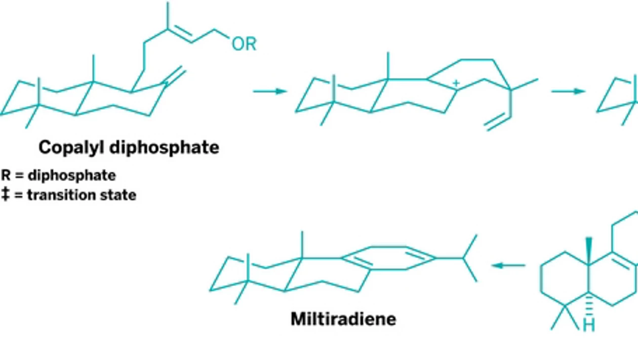 Dynamics Determine Enzyme Selectivity