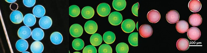 Colloids-Yield-Full-Color-Palette