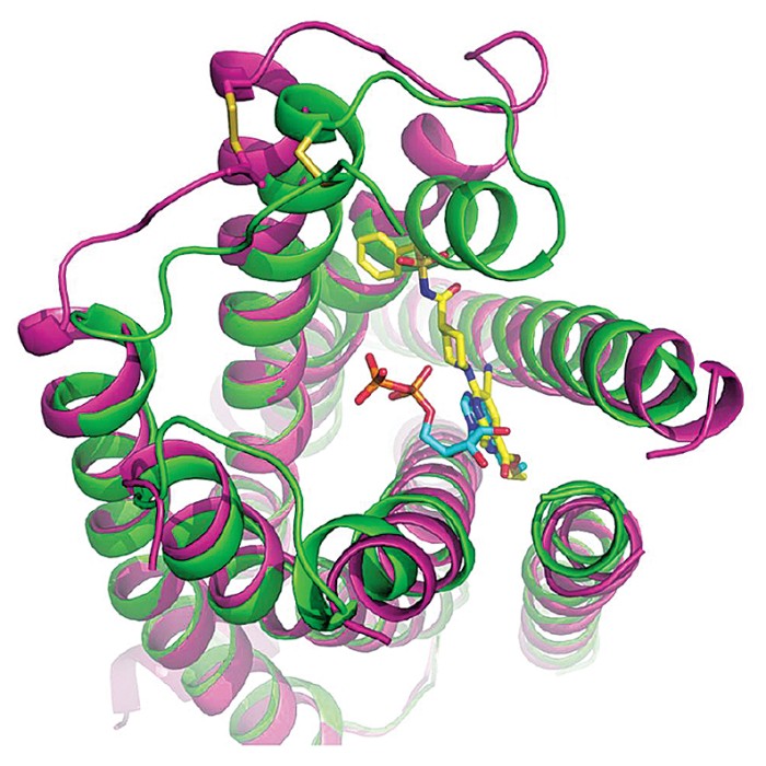 Protein Target Clot Preventing Drugs