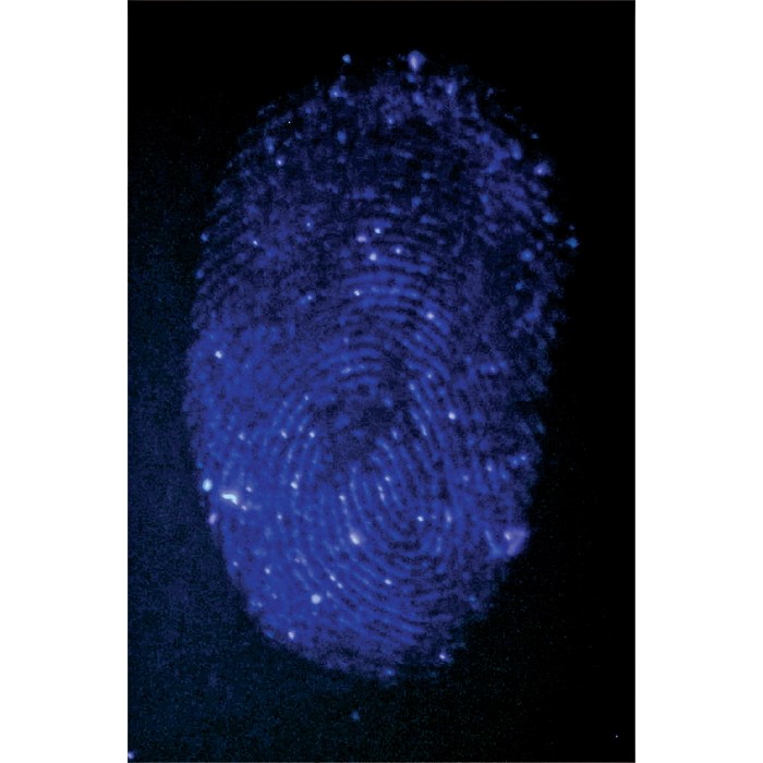 Assessing-Fingerprints-Age
