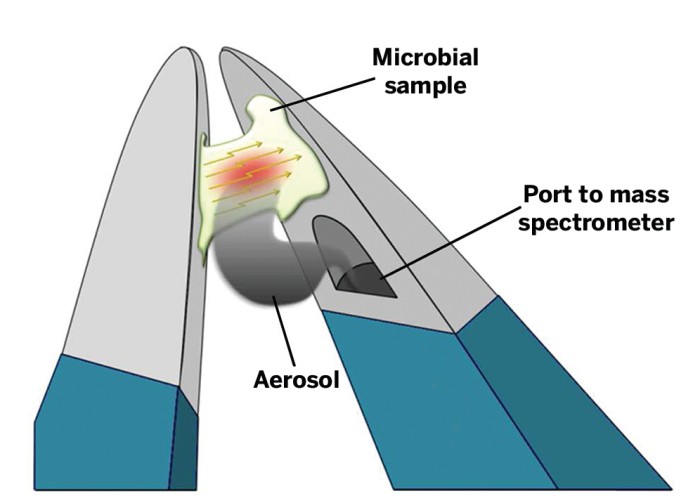 Identifying-Pathogens