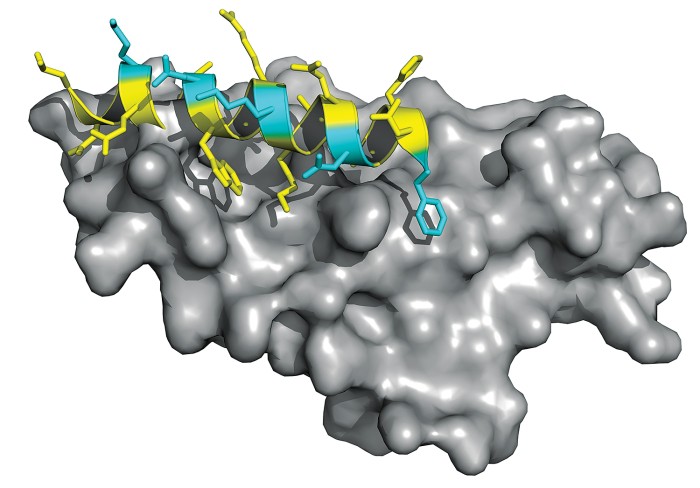 Strategy-Makes-Protein-Based-Drug