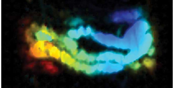 Nanoparticle-Spiked-Drink-Aids-Intestinal