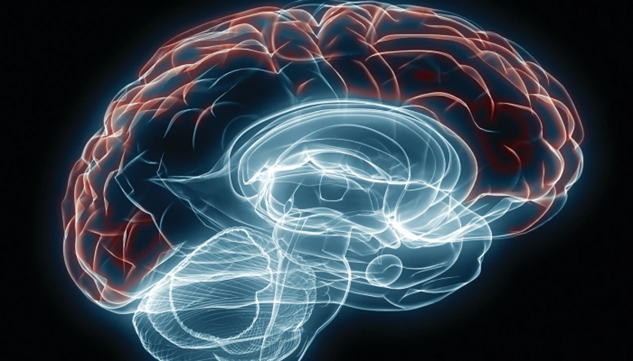 Racing To Detect Brain Trauma