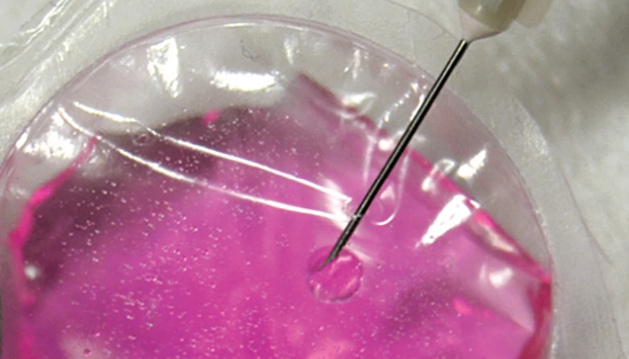 Bubble Wrap As Labware