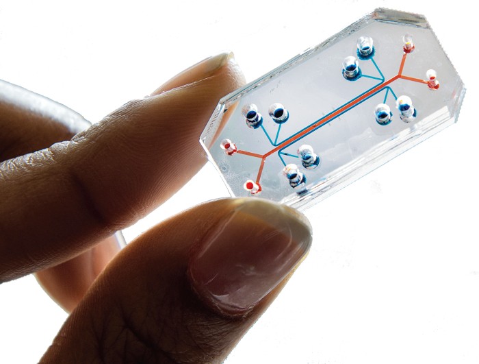 Emulate-Launched-Organs-Chips