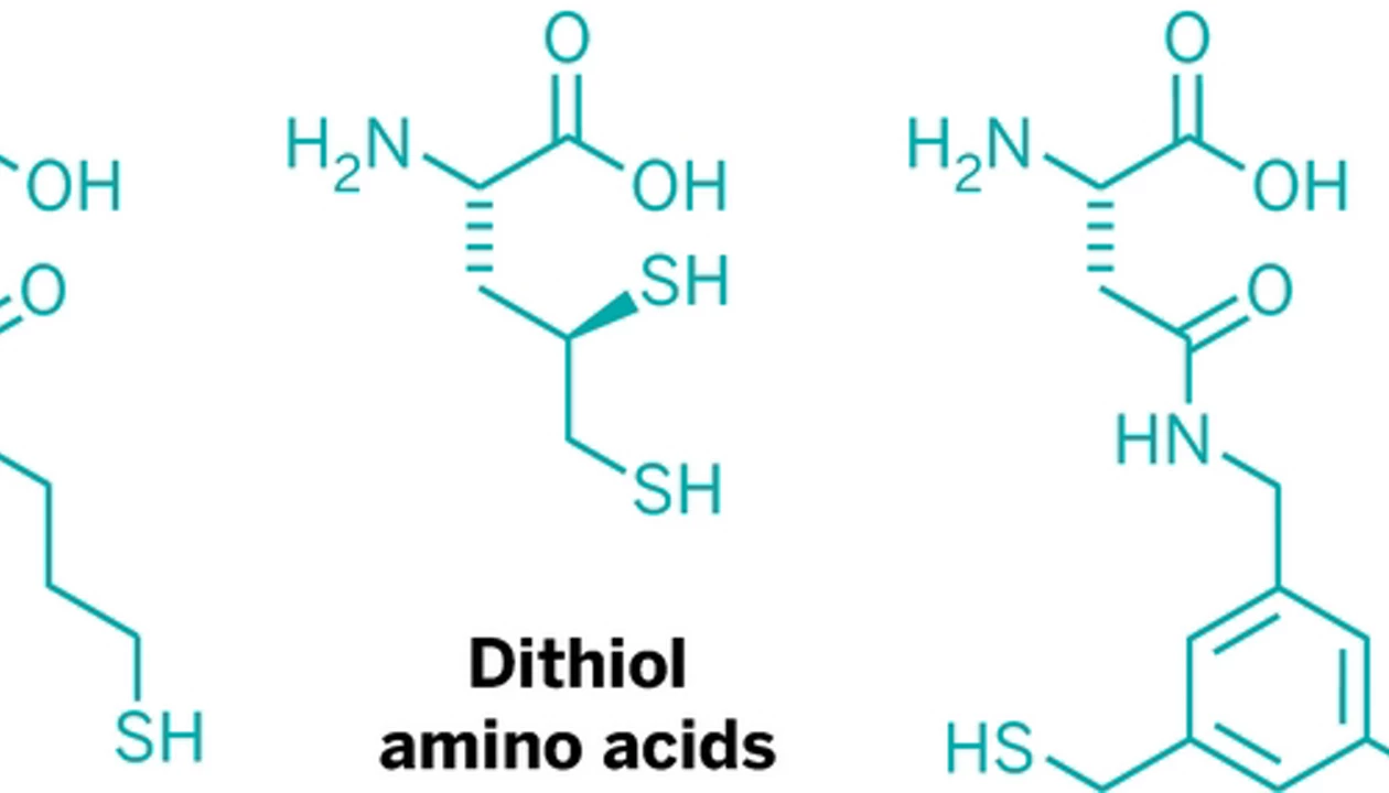 Dithiols limit number of disulfide isomers