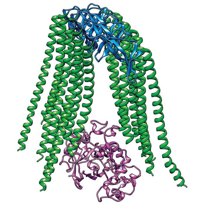 Cellulase-Research-Heats
