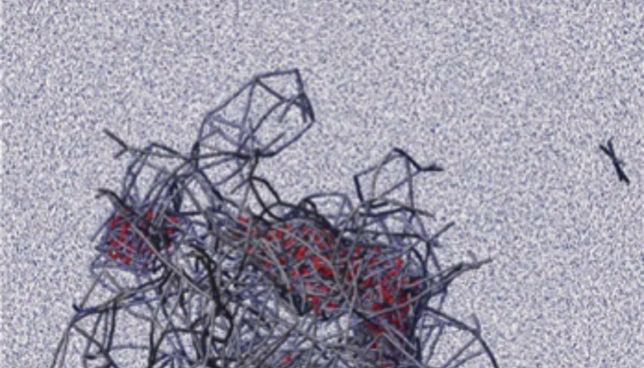 Synthetic Platelets Boost Clotting