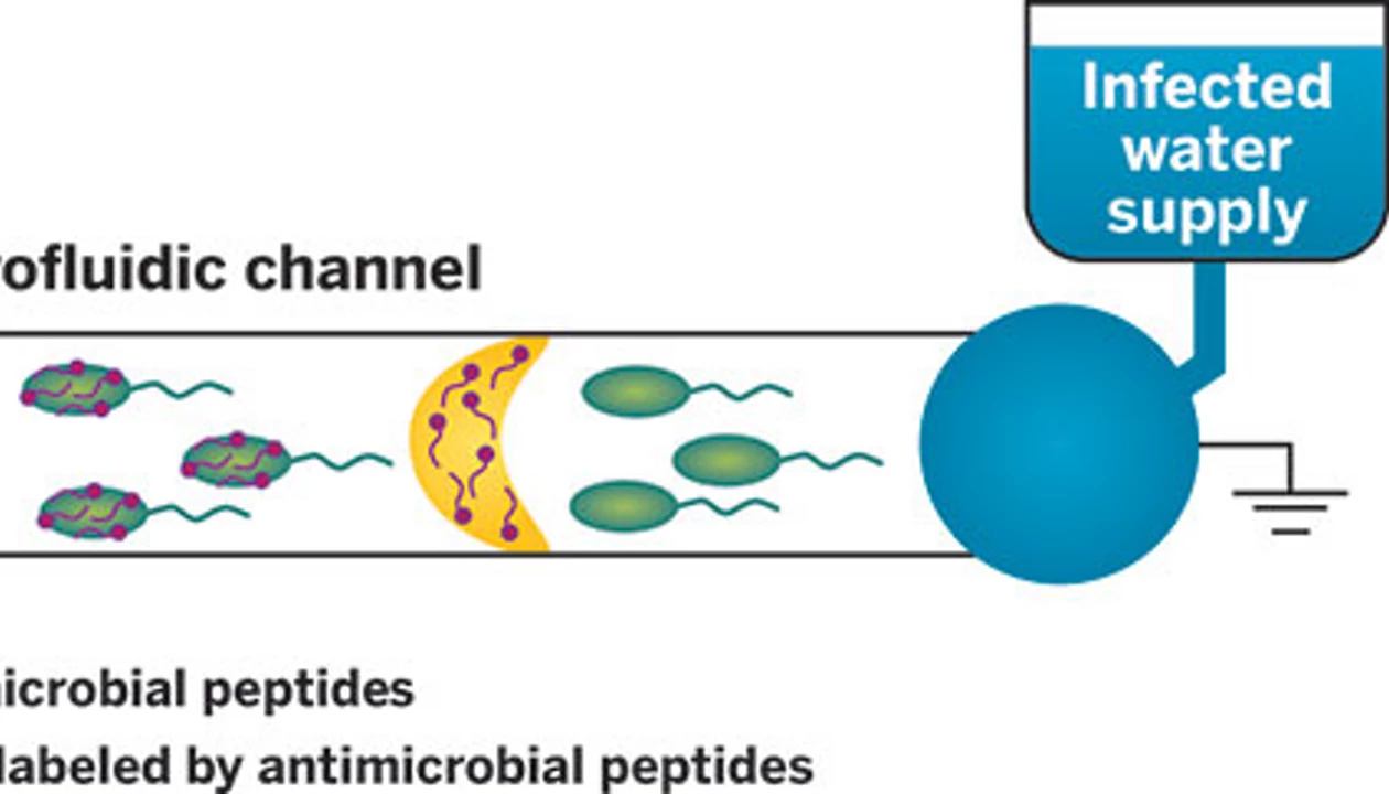 Bacteria In Water Monitored Nonstop