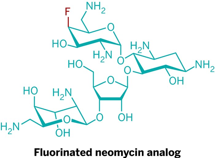 Adding-Fluorine-Helps-Ailing-Antibiotic