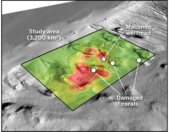 Oil-Rose-Fell-Deepwater-Horizon