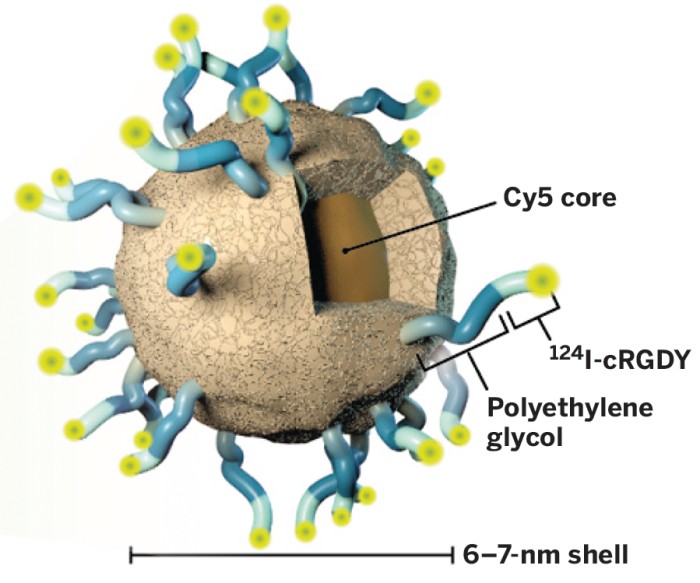 Tiny-Particles-Tested-Humans