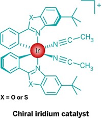 Pair-Catalysts-Builds-Chiral-Rings