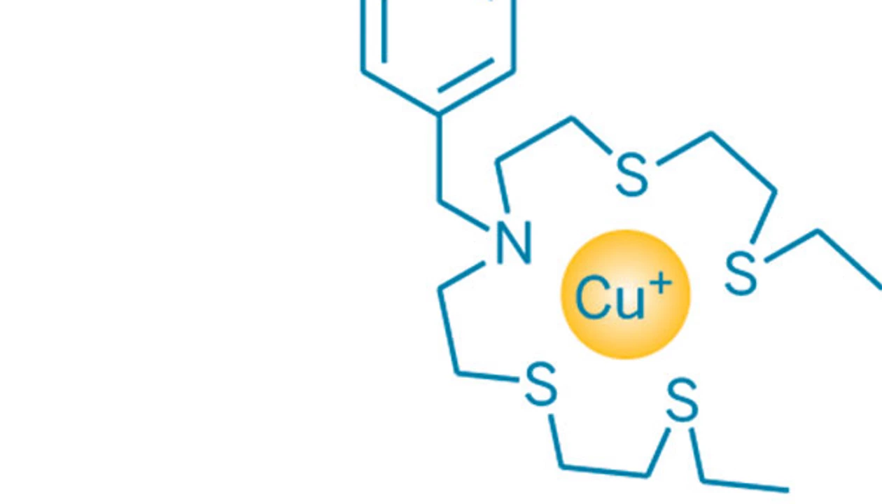 New Copper Sensor Probes Metal Ion’s Roles In Nerve Circuits