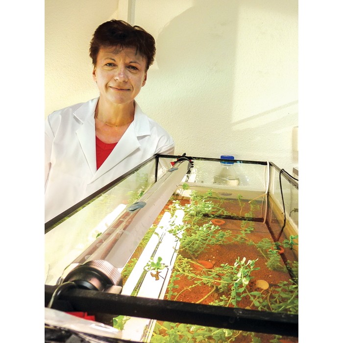 CEN-Talks-French-CNRS-Professor